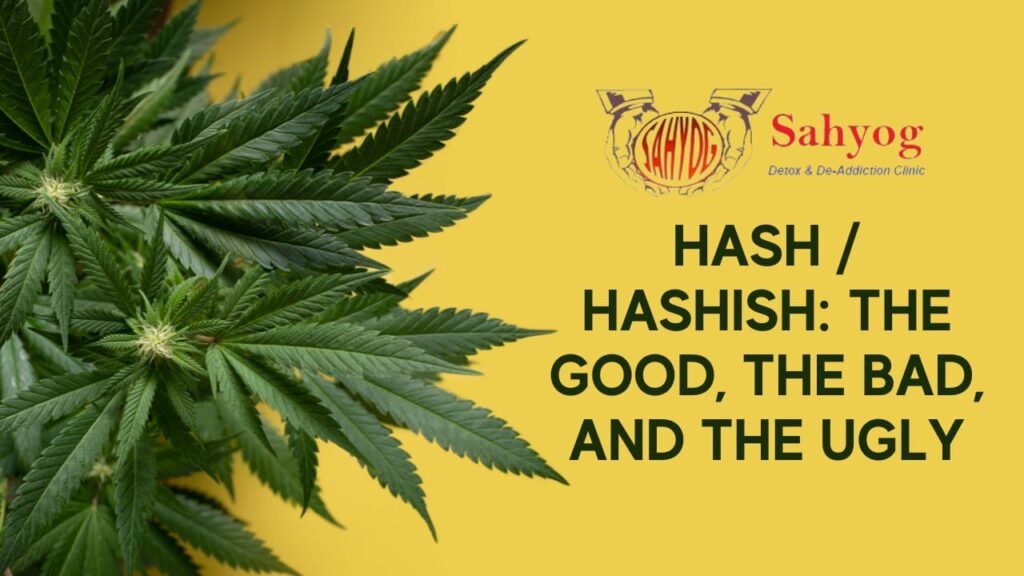 Hash/Hashish: The Good, the Bad, and the Ugly | Sahyog Clinic