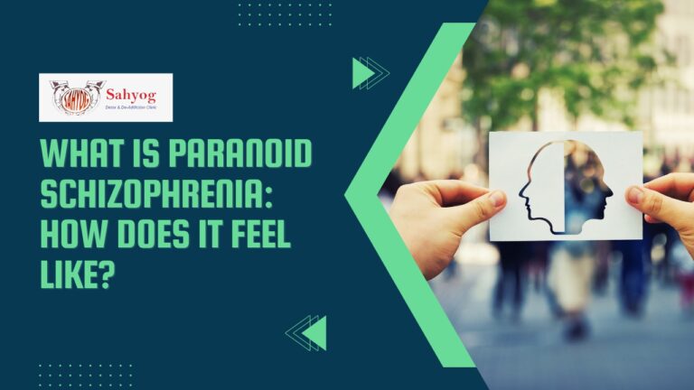 What is Paranoid Schizophrenia: How Does it Feel Like?
