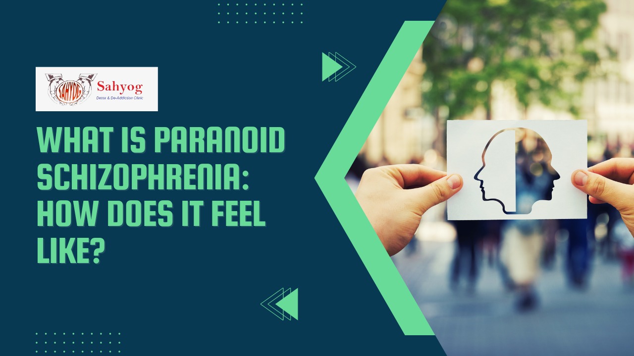 Paranoid Schizophrenia Introduction Archives Sahyog Clinic